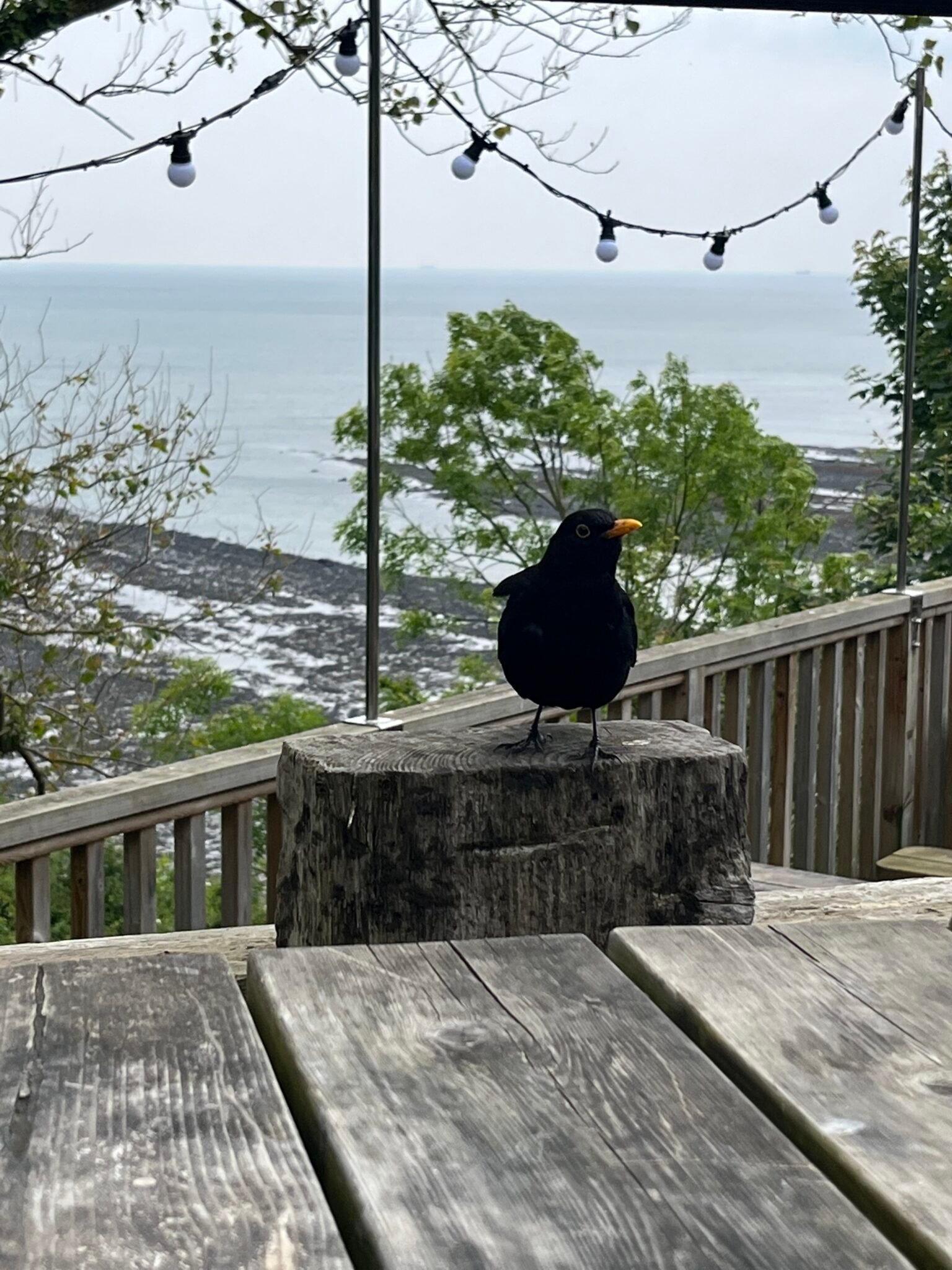 Whitby: The Ultimate Seaside Escape for Budget Travelers - The ...